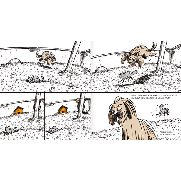 Simplemente Burrus - Amanuta B2B